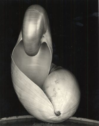 Tina Modotti & Edward Weston - Hardanger og Voss museum